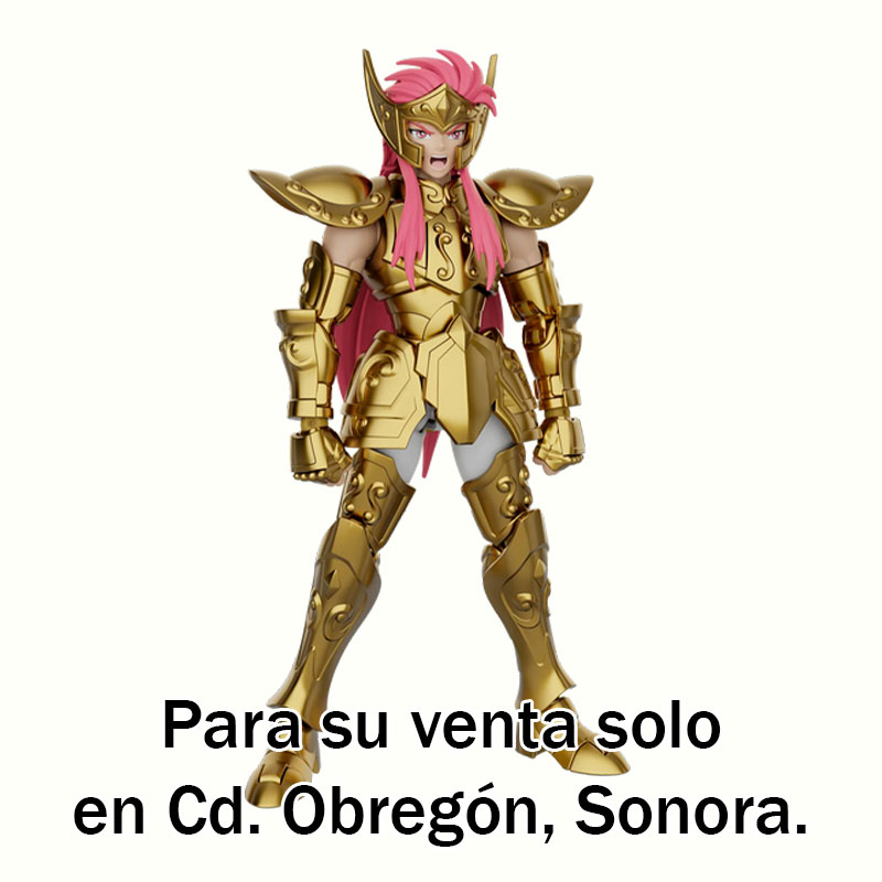 Saint Seiya Champion Class Aquarius Camus Blokees - Desierto Robot